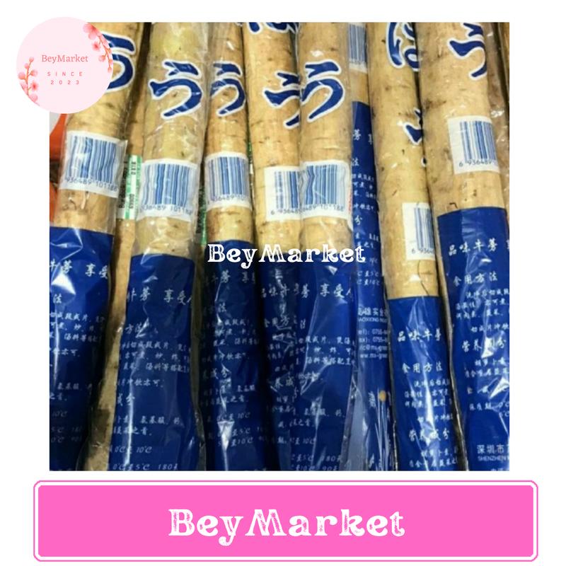 Akar Gobo Burdock / Ketela Jepang Burdock Root / pcs - Shop | Tokopedia
