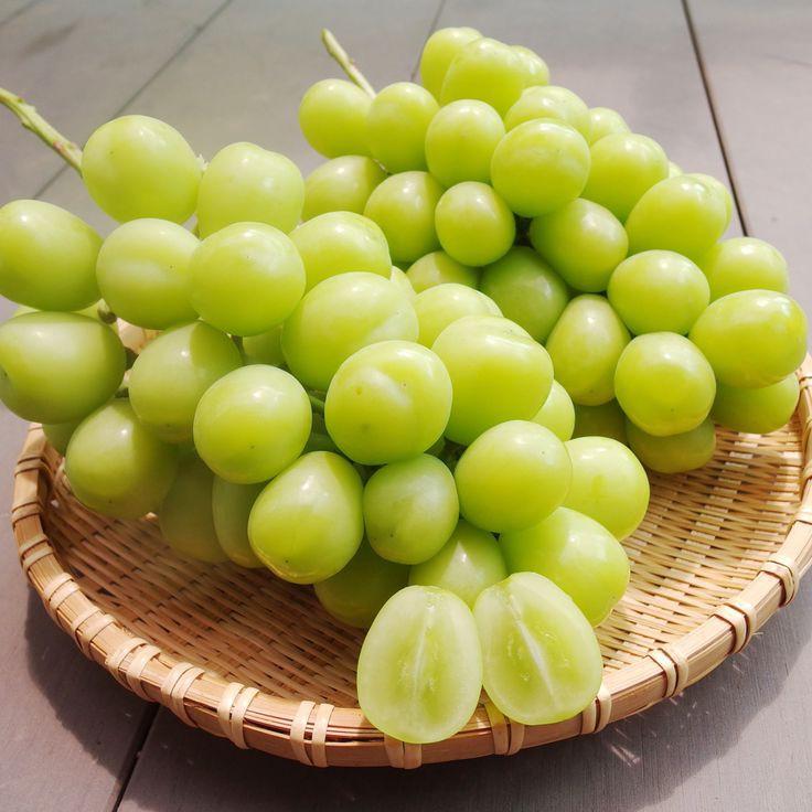 anggur shine muscat Fresh pack 450gram - Shop | Tokopedia