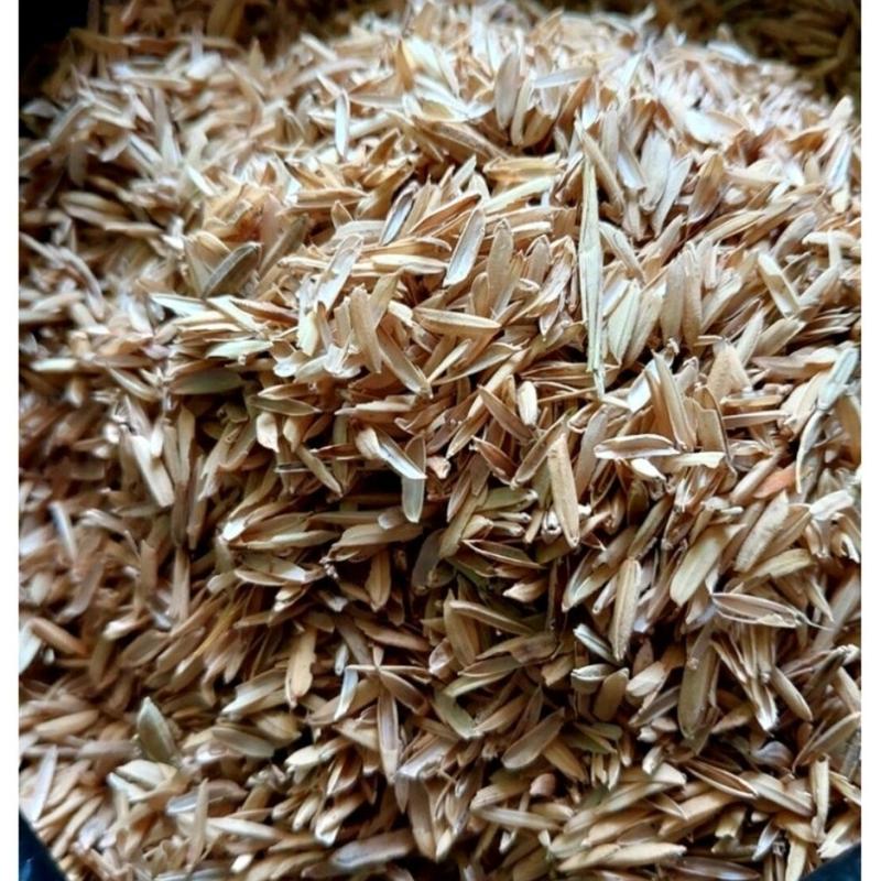 sekam padi 1 kg - Shop | Tokopedia