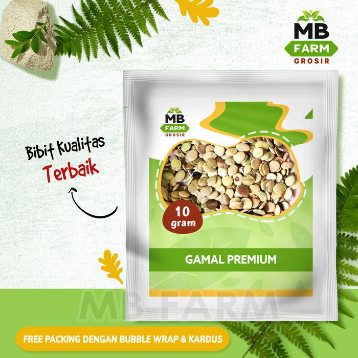 Jual Benih gamal premium 10 gram / bibit gamal gliricidia sepium MB ...