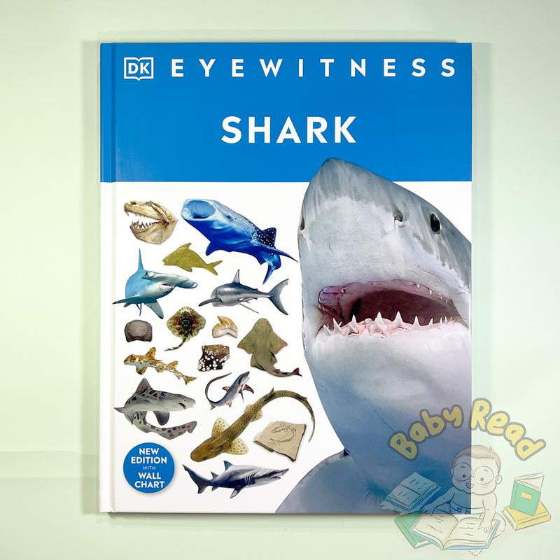 Educational book DK Eyewitness Shark buku edukasi bergambar Ikan Hiu ...