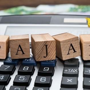 Jual excel perhitungan PPh 21 tahun 2024 untuk 2000 orang - Kab ...