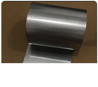 Jual High pure Zinc Strip Foil Plate Zn Sheet 0.2x200mm 0.3x150mm ...