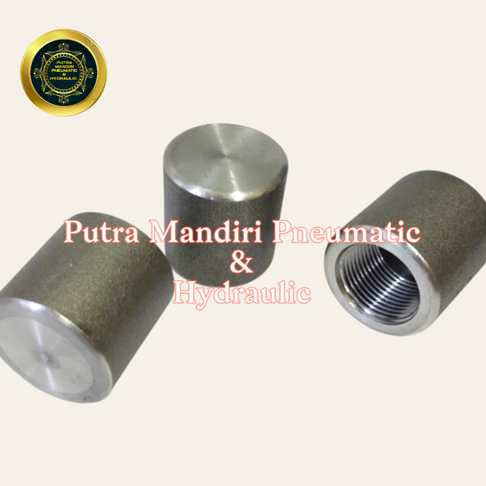 Jual Dop Besi Class 3000 drat NPT 3/4" inch - End Cap Carbon Steel ...
