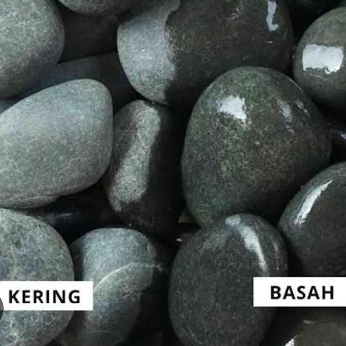 Jual BATU KORAL HITAM PERKARUNG 10 KG - Size L 4-5 cm - Kab. Bandung ...