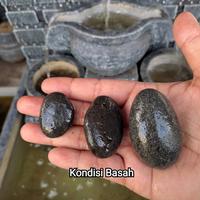 Jual BATU KORAL HITAM PERKARUNG 10 KG - Size XL 5-6 cm - Kab. Bandung ...
