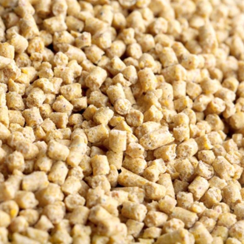 Pakan Ayam Broiler Grower GF 512 Japfa Comfeed 50 Kg - Shop | Tokopedia