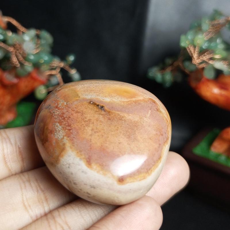 Natural Polychrome Jasper Stone Palm (25) - Shop | Tokopedia