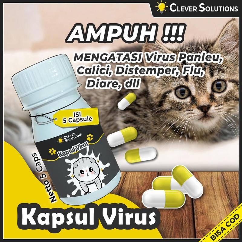 KAPSUL VIRUS Obat Virus Panleukopenia Distamper Calici Obat Virus - Shop | Tokopedia