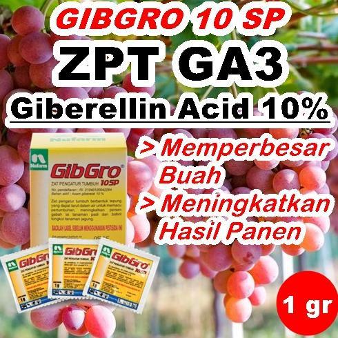 Jual Gibgro 10 SP Hormon GA3 Giberelin Acid ZPT Asam Giberelat Zat ...