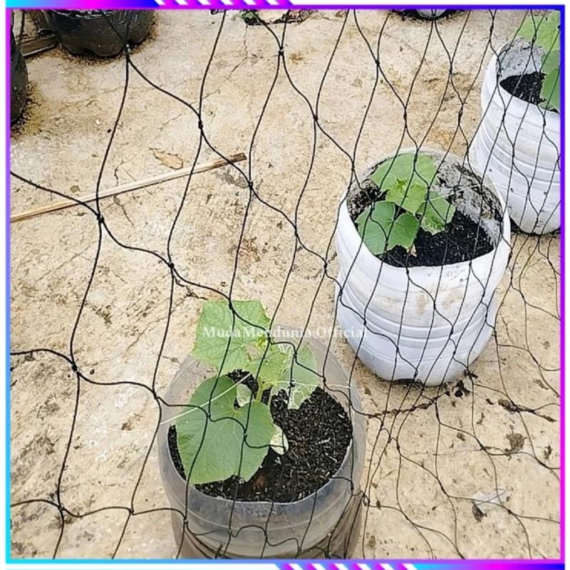Jaring Tanaman Rambat Permeter Murah - Lubang 10cm Anggur Hijau - Shop ...