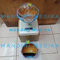 Jual Alat Peraga Manekin Model Mata Giant Eye GL8316 Guan Long GL 8316 ...