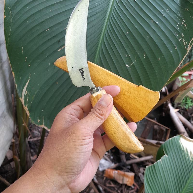 Pisau Raut Bambu Ukir Baja Per bisa di pakai pisau dapur Kay - Shop ...