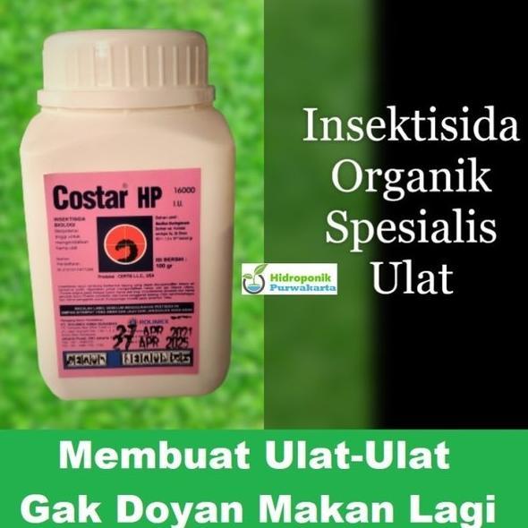 Jual Pestisida Organik Insektisida Costar HP Basmi Tuntas Ulat Isi 100 ...