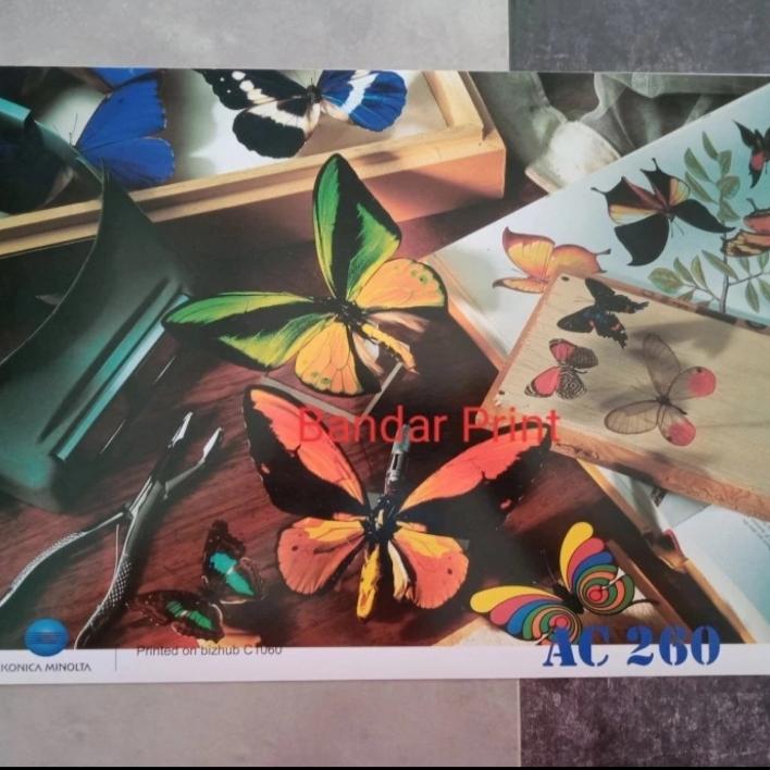 Digital Print Cetak Art Carto 260 2 Sisi + Laminasi - Shop | Tokopedia