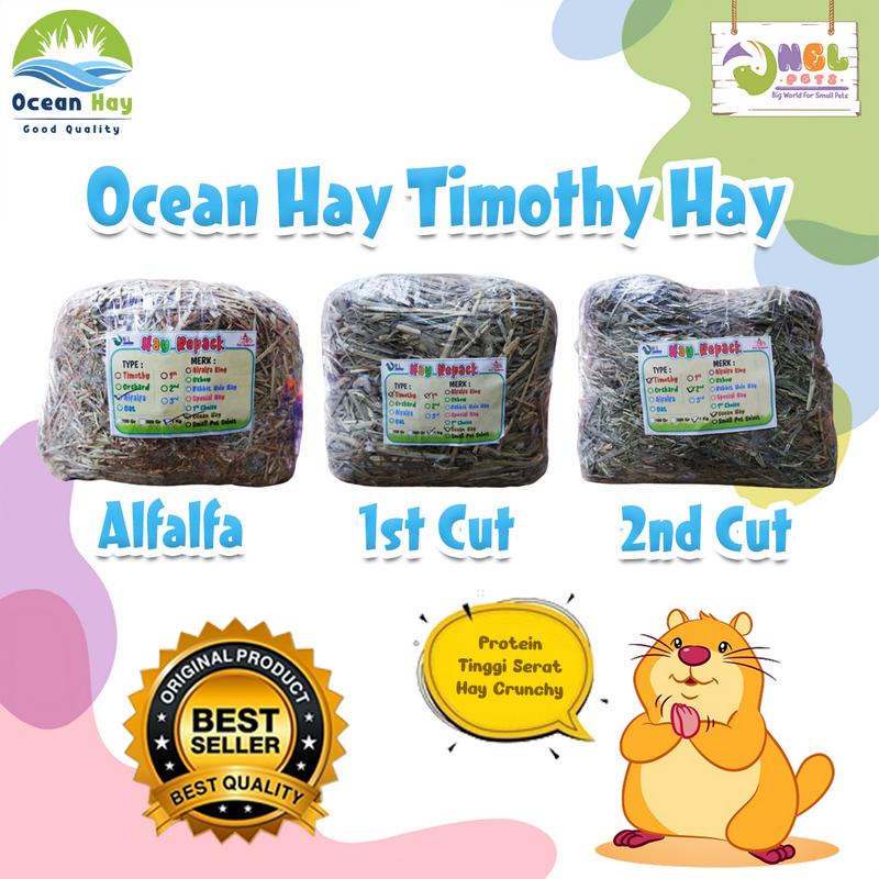 TIMOTHY HAY by OCEAN HAY repack 1kg/makanan kelinci marmut/timothy ...