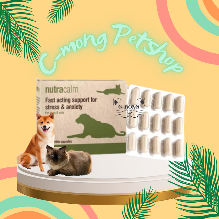 Jual Nutracalm for Cats & Dogs Suplemen Anti Stress Kucing Anjing - Kab ...