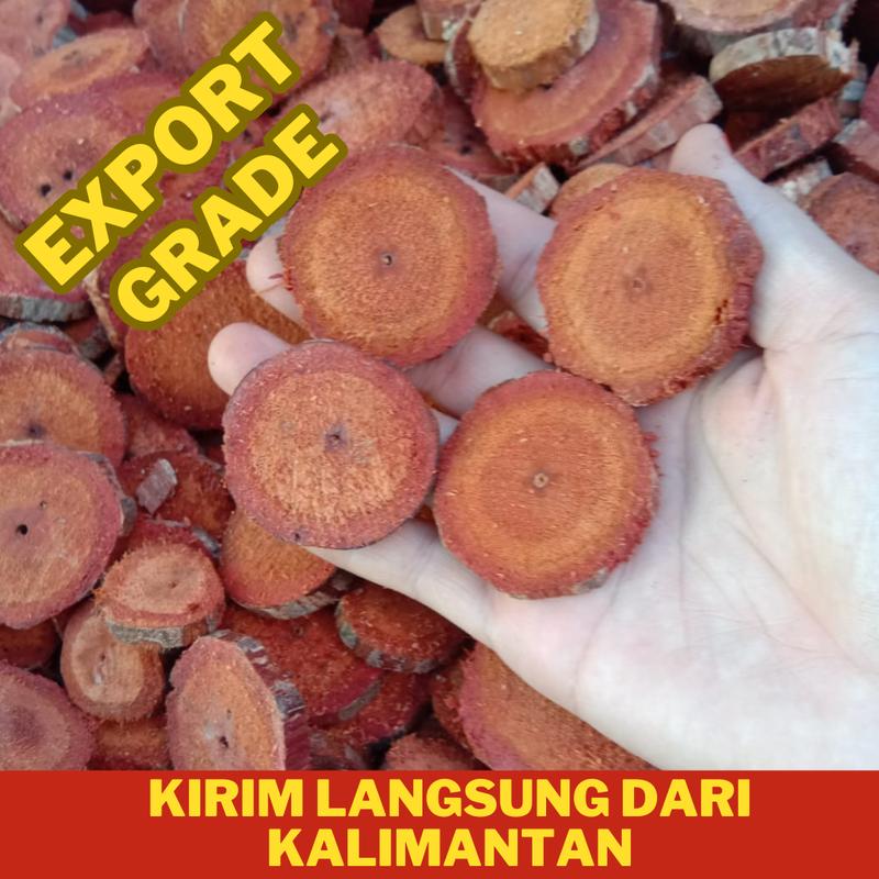 Akar Kayu Bajakah Tunggal Asli Kalimantan Tengah - 1Kg - Shop | Tokopedia