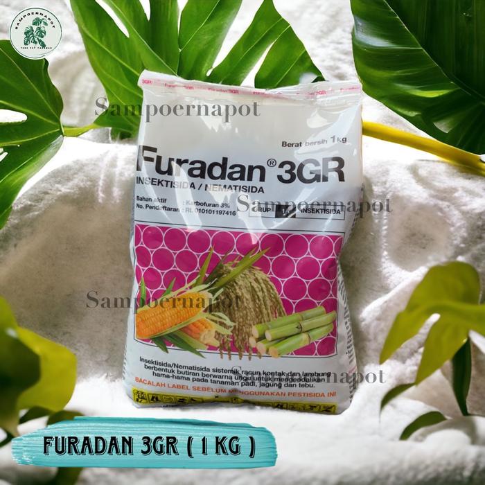 Jual FURADAN 3GR INSEKTISIDA NEMATISIDA ISI 1 KG PENGENDALI HAMA ...