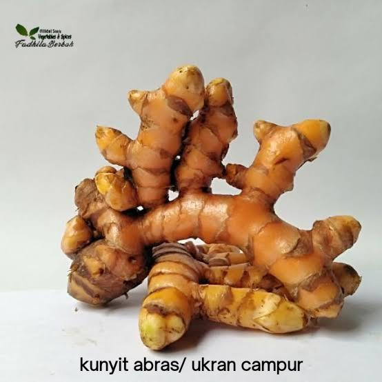kunyit kunir kuning koneng 500gr segar alami obat magh lambung - Shop ...