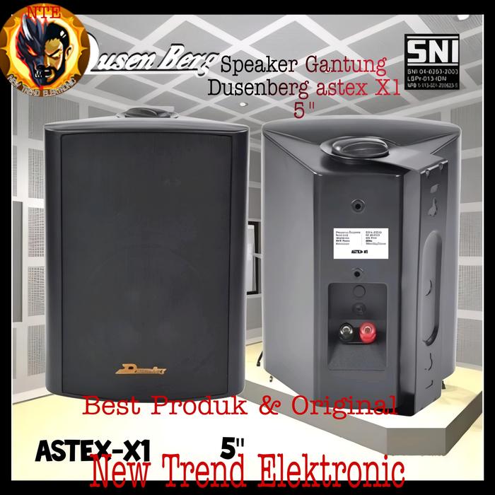 Jual Speaker Pasif DUSENBERG Astex X 1 Speaker Gantung 5 Inch - 1 Unit ...