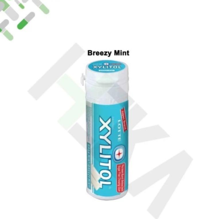 Lotte Xylitol Permen Karet Bebas Gula Kemasan Kecil 27.55 gr - Shop ...