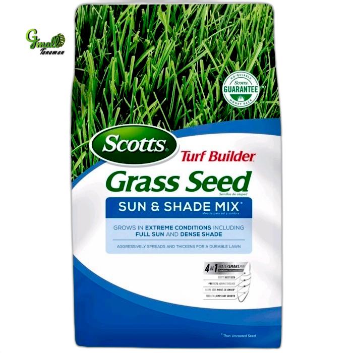 Jual Scotts Grass Seed Sun And Shade Mix/Benih Biji Rumput Jepang 100 ...