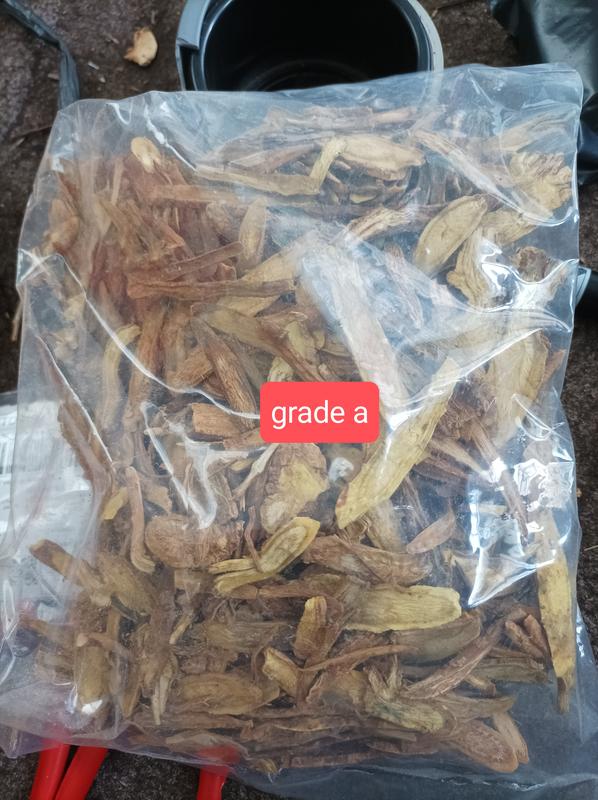 150 G GR GRAM HUANG QIN RADIX SCUTELLARIAE BAICAL SKULLCAP ROOT - Shop ...