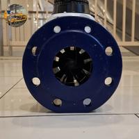 Jual Flow meter Sensus WP-Dynamic 3 inch DN80/PN16 Temperatur 50derajat ...