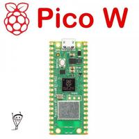 Jual Raspberry Pi Pico RP2040 W WIFI 2.4GHz 802.11n Wireless - Shield ...