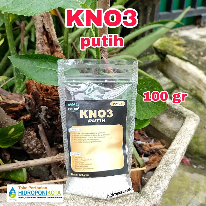 R2/SP - Kno3 Putih isi 100 gram - Shop | Tokopedia