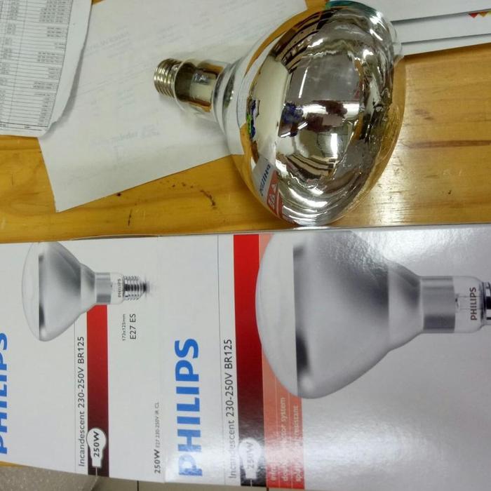 Jual ADA!!! Lampu Pemanas Pengering BR125 PHILIPS Incandescent Infrared ...