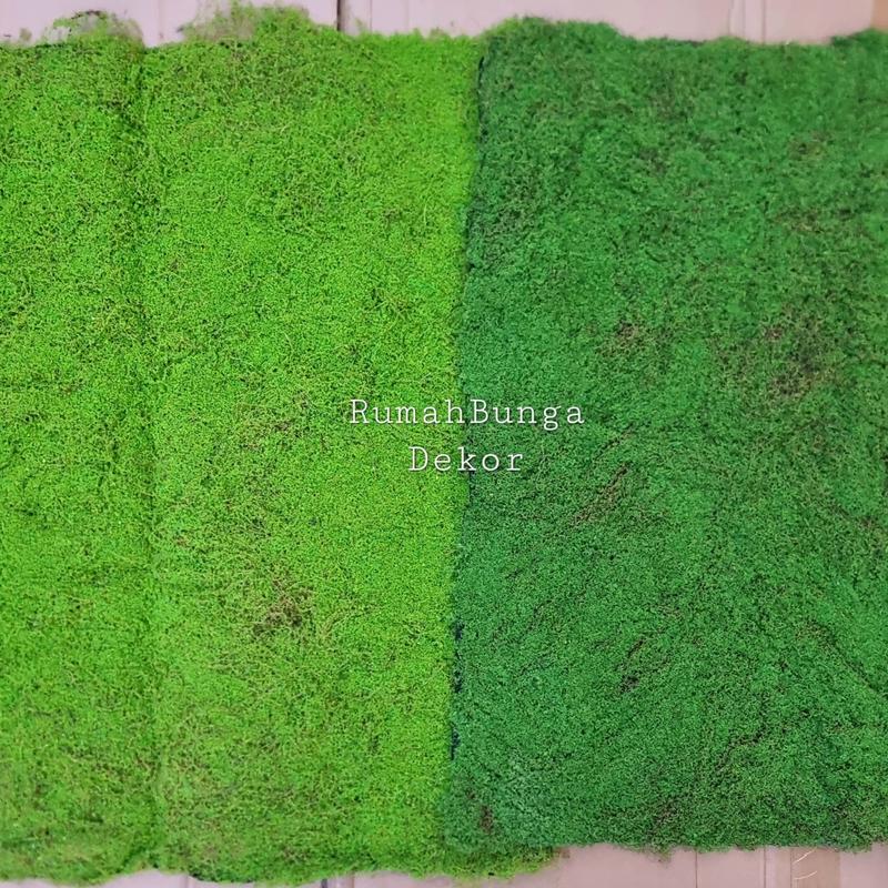Karpet Lumut Moss Artificial TNH 100cm x 100cm - Shop | Tokopedia
