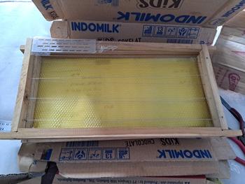 Frame/ bingkai Sarang lebah apis melifera kawat stainless - Shop ...