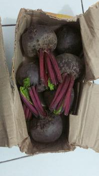 buah bit/beet root freshorganik 1 kg - Shop | Tokopedia