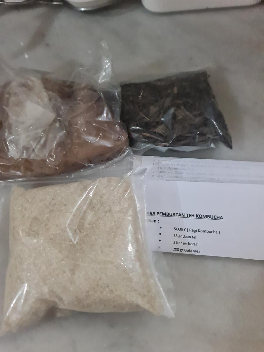 bibit scoby jamur dipo stater kombucha lengkap dengan teh dan gula ...