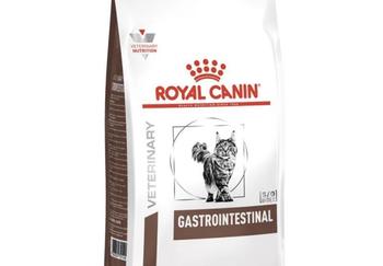 Royal Canin Vet Gastro Intestinal Kitten Wet 195gr / PCS - Shop | Tokopedia
