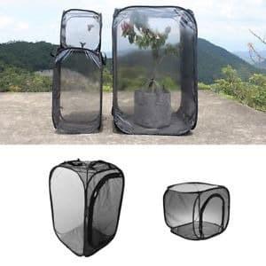 Foldable Insect Cage Terrarium Vivarium Kandang Kupu Chameleon - Shop ...
