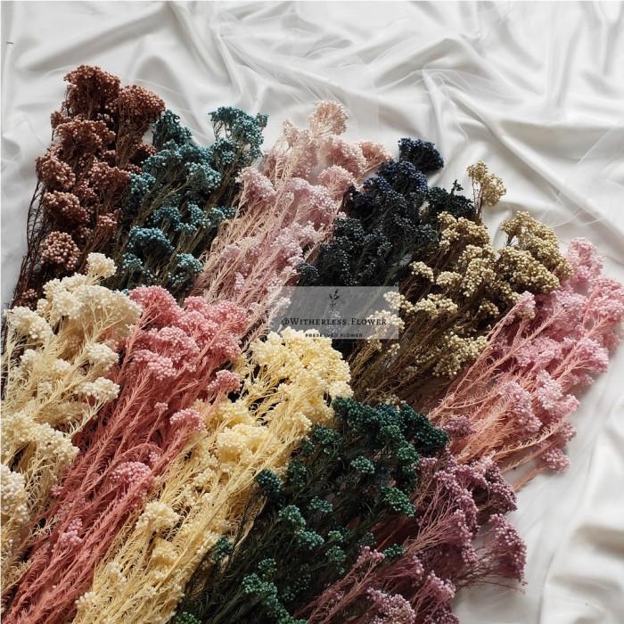 Jual 25 gr Preserved Rice Flower / Millet Dried Flower / Bunga Kering ...