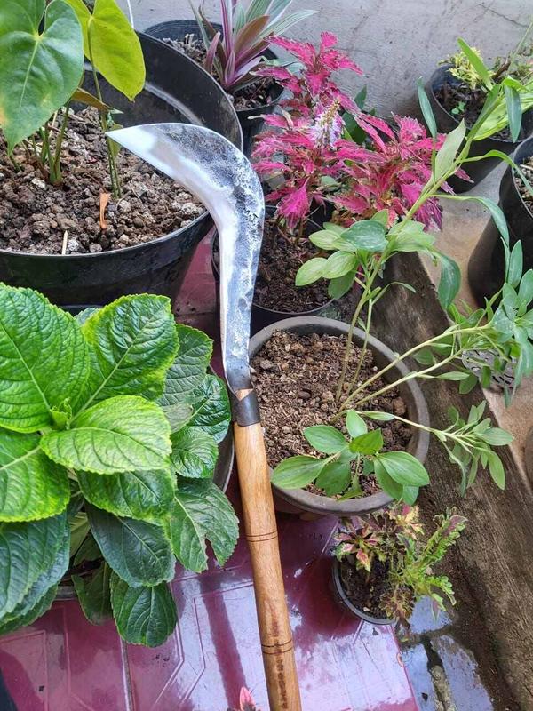 arit congkrang full baja antik dan tajam - Shop | Tokopedia