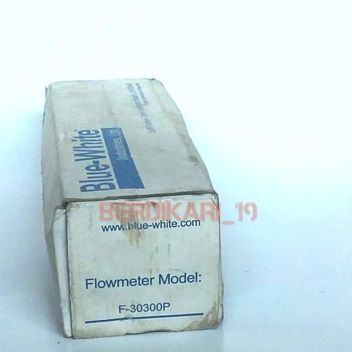 Flowmeter F300 F-30300P Blue-White 3" 3 inch DN80 PVC Pipe Horizo BEST ...