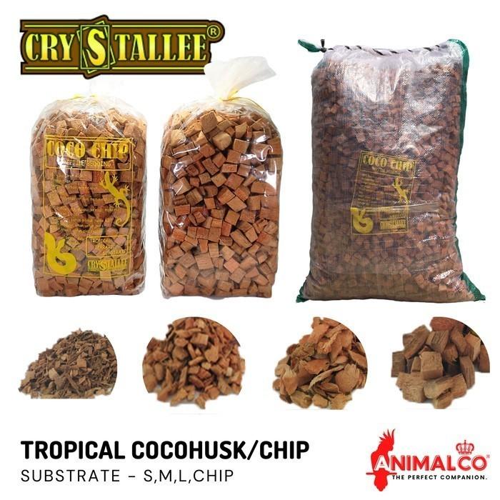 Jual COCO HUSK COCO CHIP ALAS KANDANG REPTIL REPTILE BEDDING TORTO ...