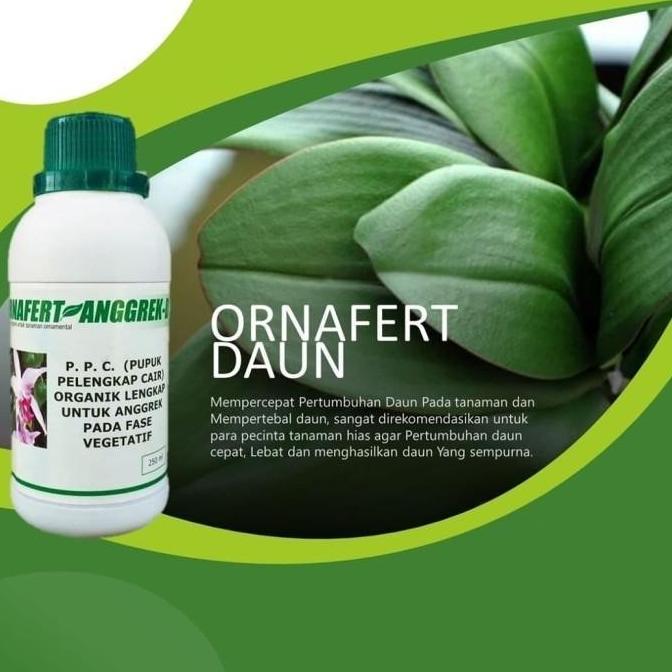 Pemacu Kilat Daun Tanaman Hias OrnafertD Pupuk Cair Organik Anggrek ...