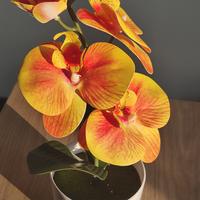 Jual Terbaru, Bonsai Simulated Butterfly Orchid Artificial Potted Plant ...
