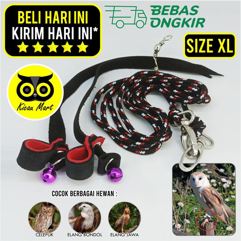 ANKLET BURUNG SIZE XL ANGKLET TALI LATIH TRAINING SET ELANG HANTU ...