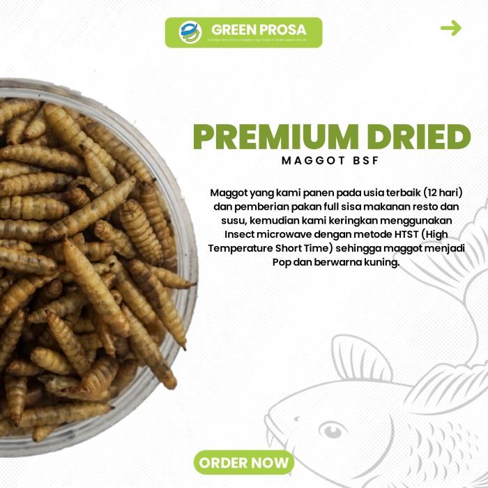 MR MAGGOT - PREMIUM Maggot Magot Kering BSF - Dry Maggot 1KG - Shop ...