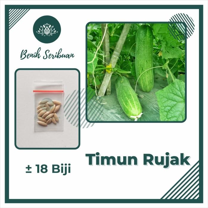 Jual 18 Bibit Timun Rujak Sukoi Tipe Besar Benih Tanaman Sayuran Buah ...