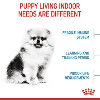Promo Royal Canin Mini Indoor Puppy (1.5kg) Dry Makanan Anak Anjing ...