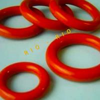 Jual Ring Pessarium For Vaginal Rubber / Pesarium Karet - Jakarta Pusat ...
