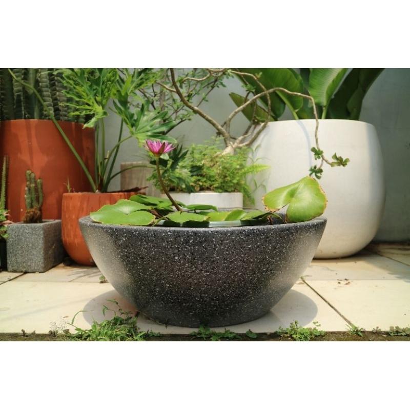 POT TANAMAN AIR TERATAI/LOTUS TERAKOTA PREMIUM D50T20 - Shop | Tokopedia